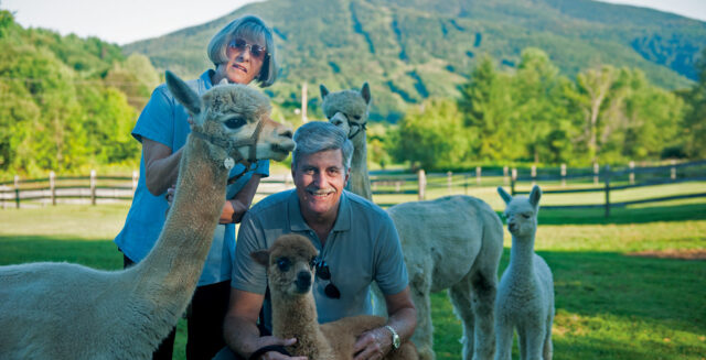 Inside an Alpaca Farm - Equestrian Living