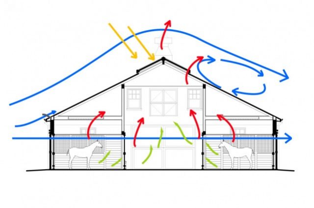 Designing the Best Barn for your Budget – Equestrian Living