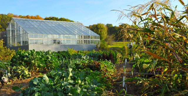 Eileen Rockefeller Finding Her Stride - Equestrian Living
