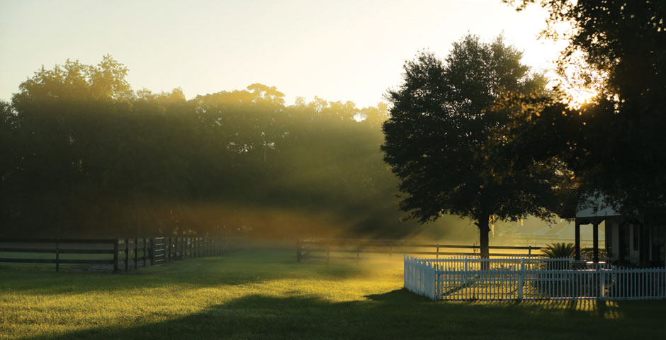 Grand Oaks Resort, Florida – Equestrian Living