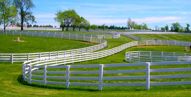The Landscapes of Morgan Dix Wheelock - Equestrian Living