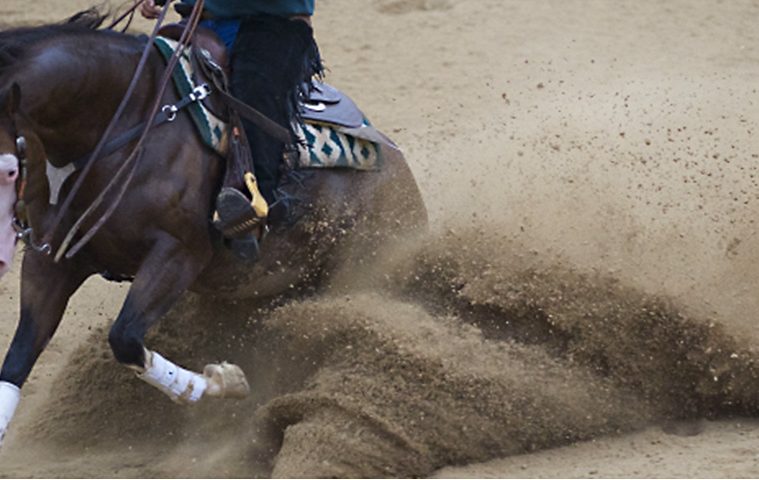 The International—Reining - Equestrian Living