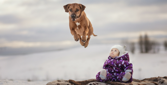 Little Kids and their Big Dogs - Equestrian Living