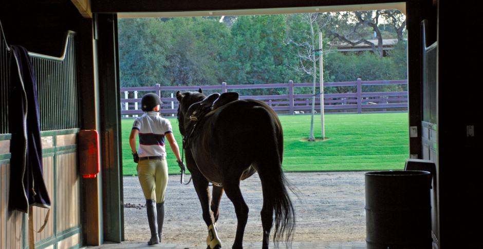 Down on the Farm | Equestrian Living