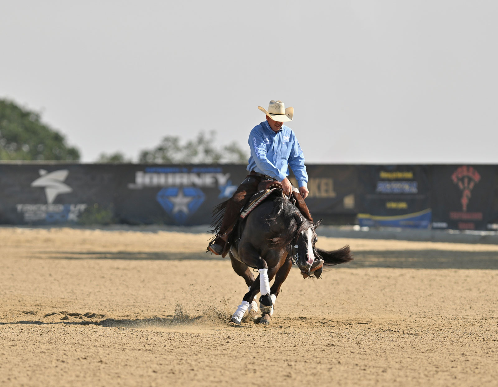 Reining By The Bay - Equestrian Living