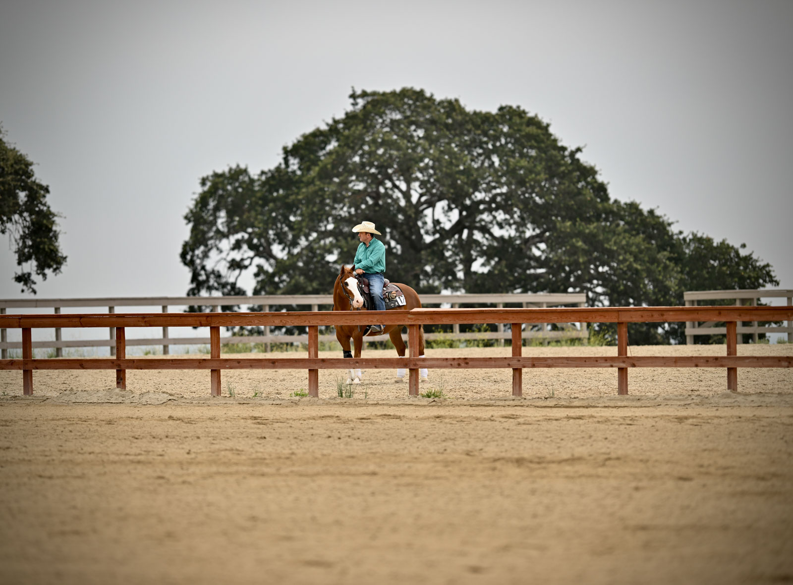Reining By The Bay - Equestrian Living