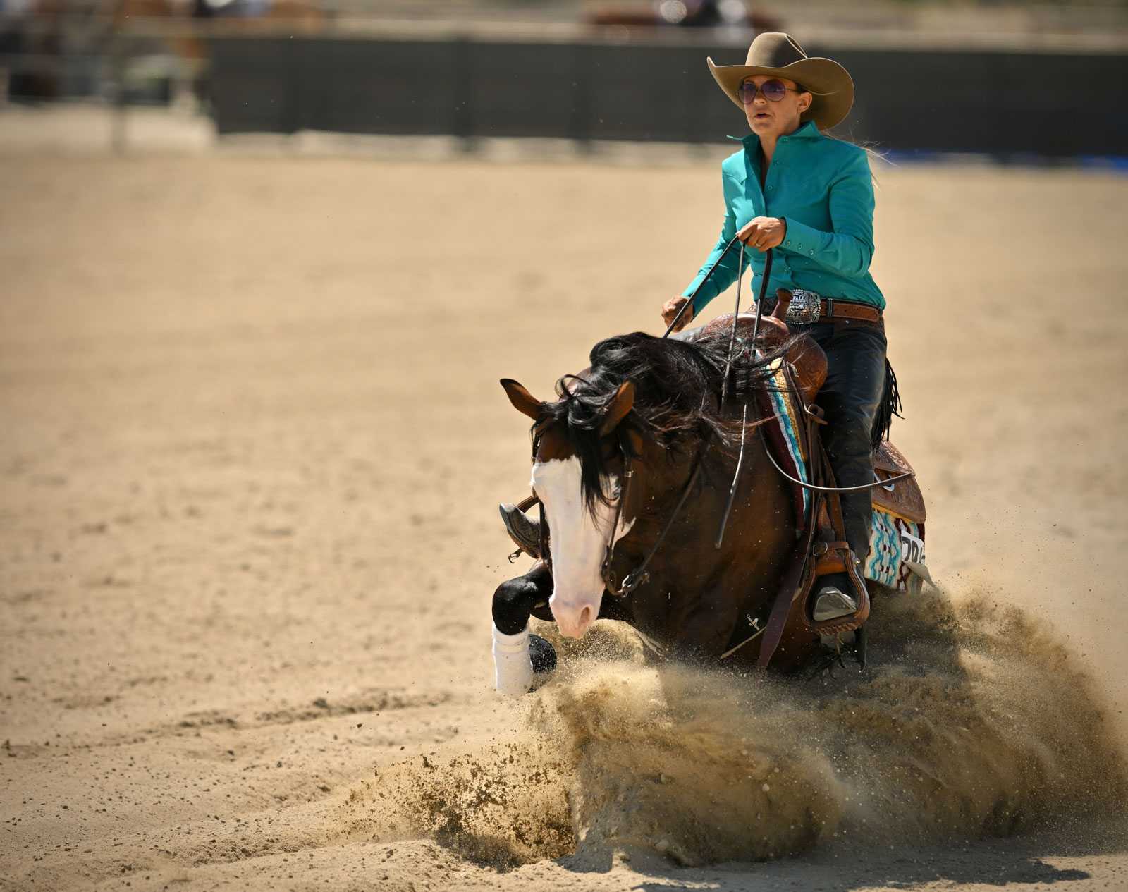 Reining By The Bay - Equestrian Living