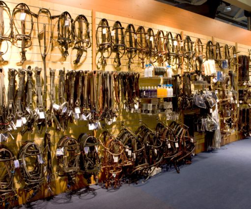 Horsing Around in County Kildare - Equestrian Living