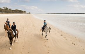 The Unforgettable Allure of Haig Point - Equestrian Living