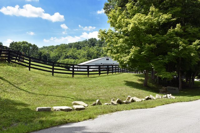 Sycamore Valley Ranch - Equestrian Living