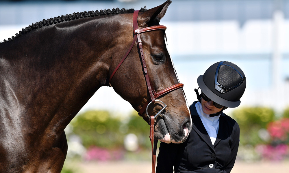 Devon, A spring tradition since 1896 – Equestrian Living