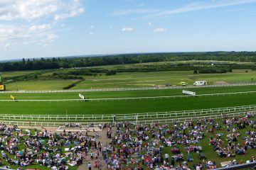 The World’s Most Handsome Horse? – Equestrian Living