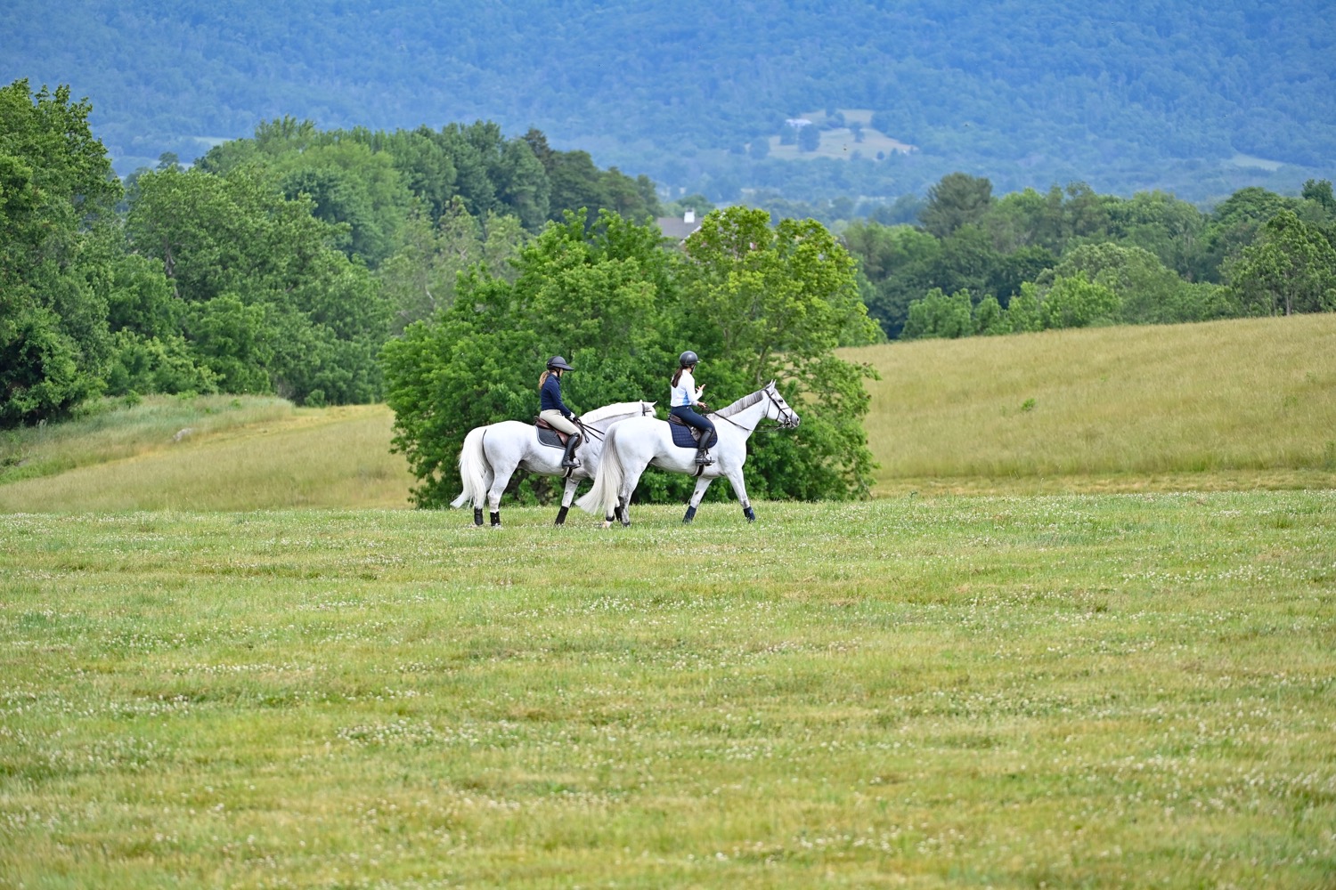 The Upperville Colt & Horse Show - Equestrian Living