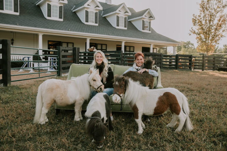 R&R Ranch: A Mini Horse Haven - Equestrian Living