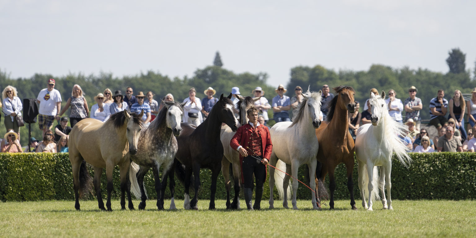 Ben Atkinson: Stable to Screen - Equestrian Living