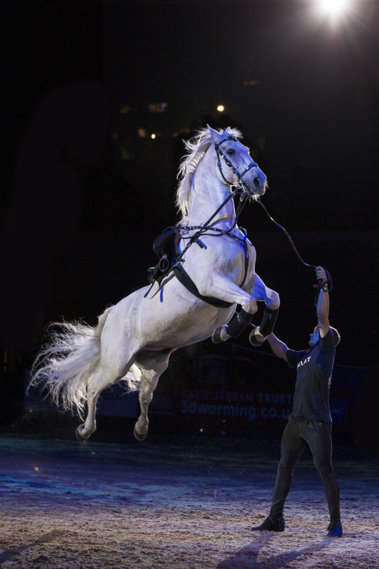 Ben Atkinson: Stable to Screen - Equestrian Living