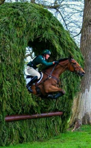 Amazing Jumps - Equestrian Living