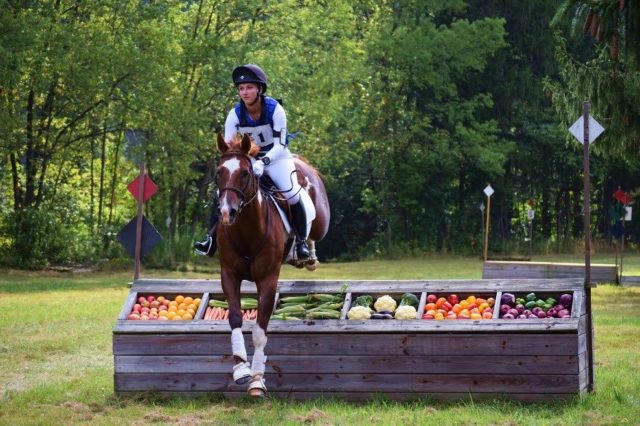 Amazing Jumps - Equestrian Living