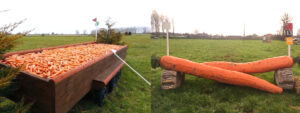 Amazing Jumps – Equestrian Living