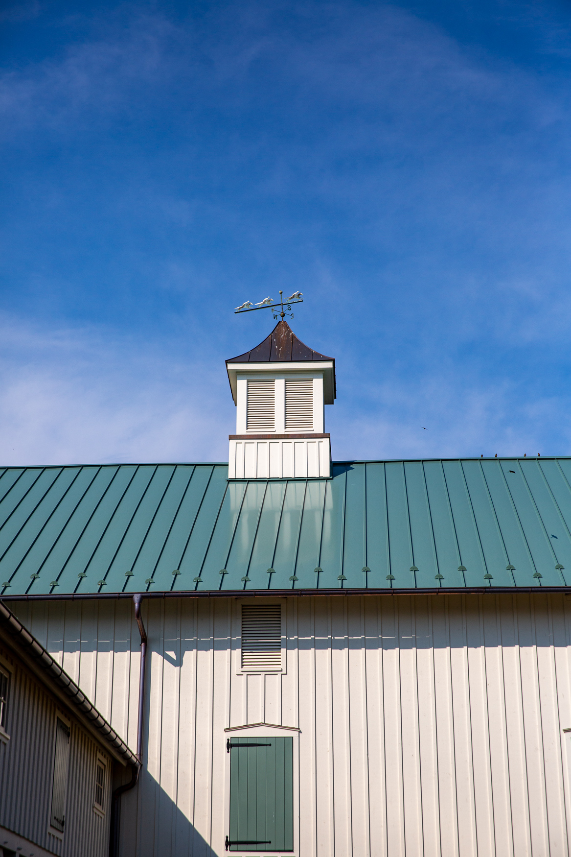Beautiful Bank Barn - Equestrian Living
