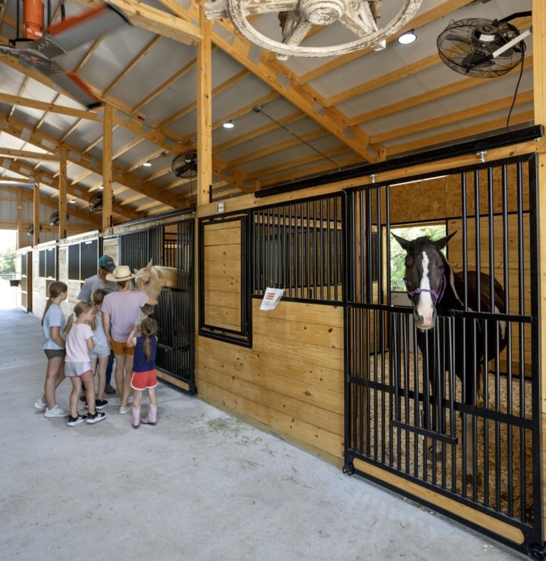 Layla Rose Ranch - Equestrian Living