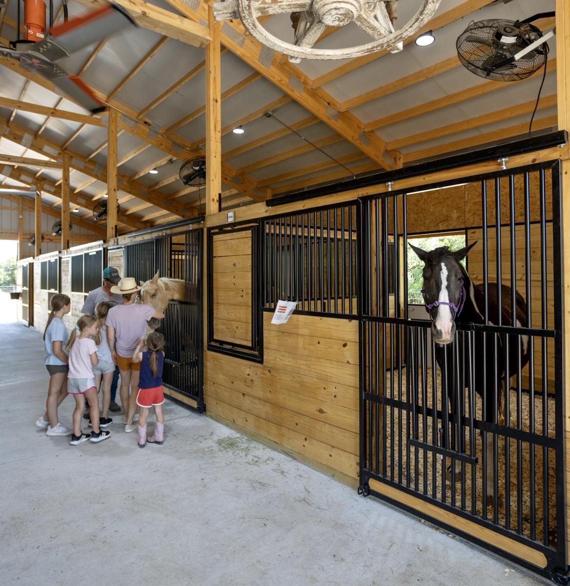 Layla Rose Ranch - Equestrian Living