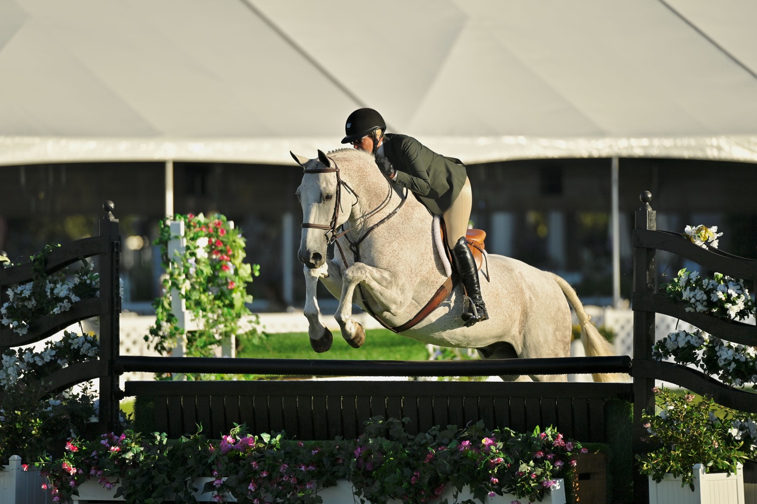 Menlo Charity Horse Show 2022 - Equestrian Living