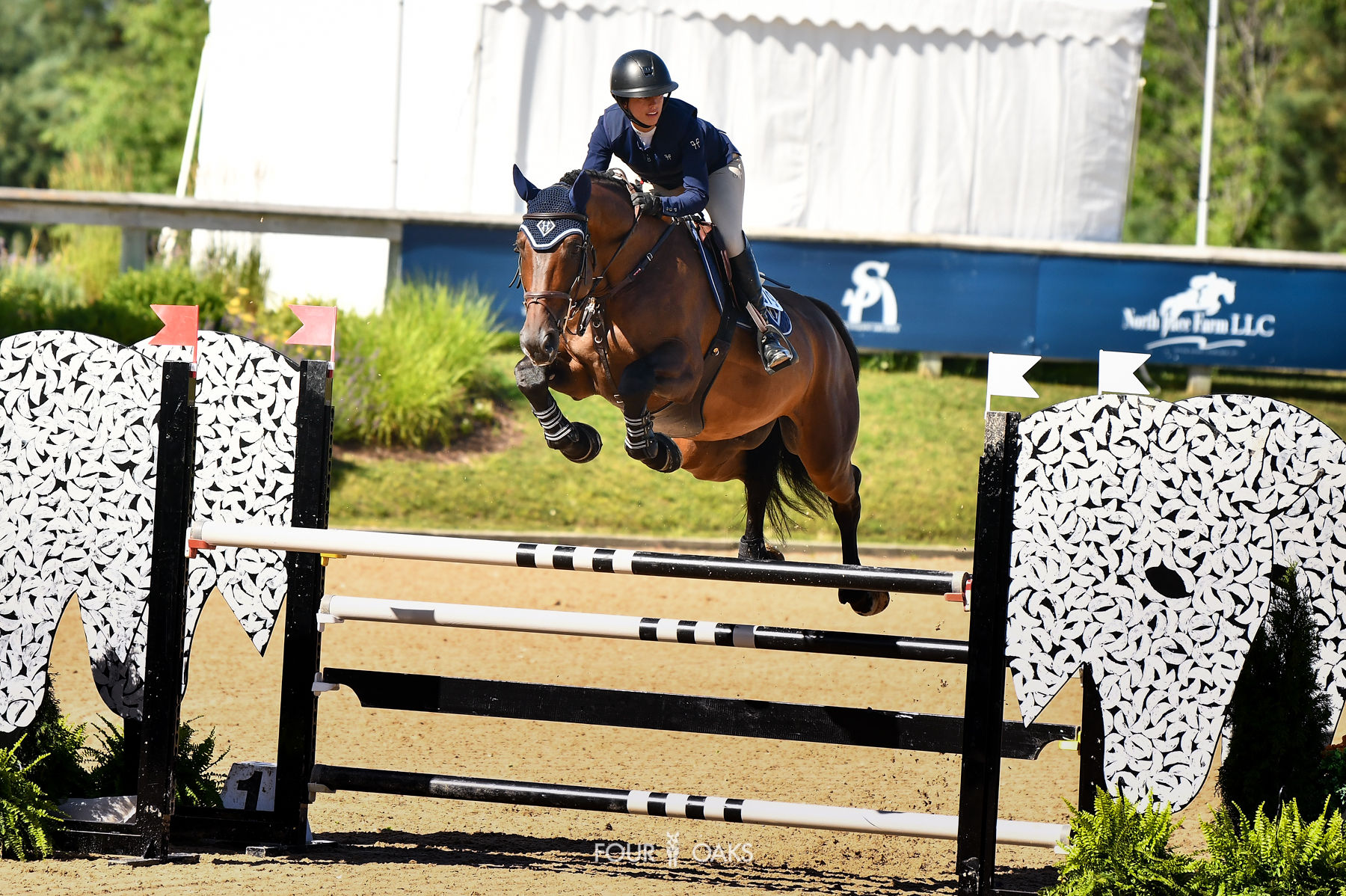 Meet Caroline McLeese - Equestrian Living