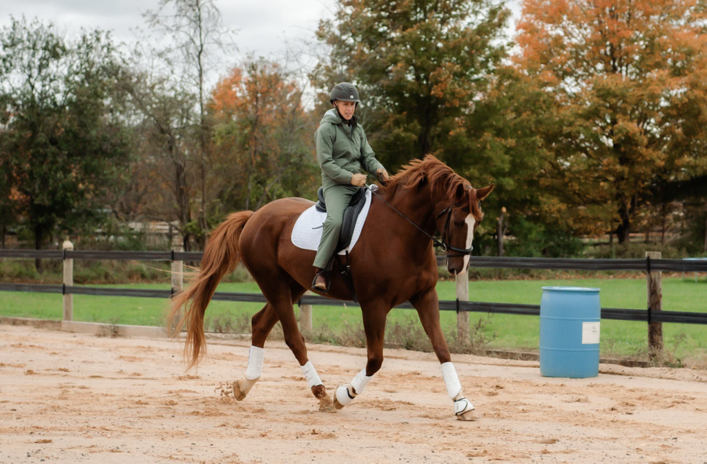 Redingote Equestrian - Equestrian Living