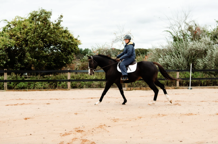 Redingote Equestrian - Equestrian Living