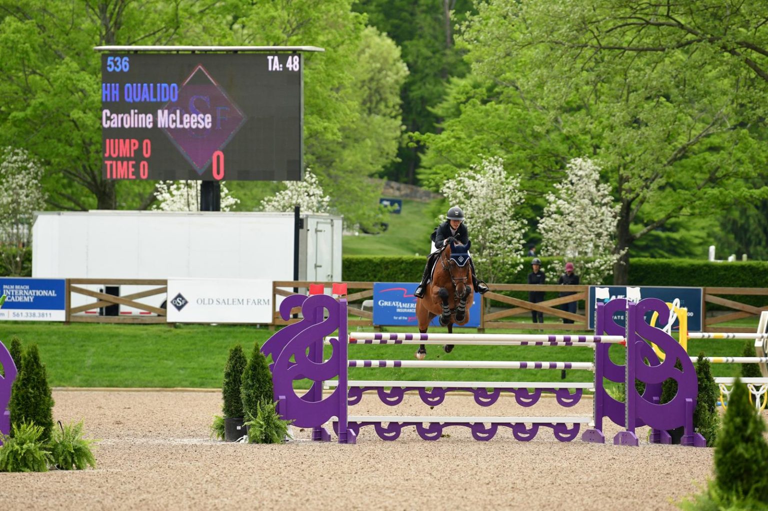 Meet Caroline McLeese - Equestrian Living