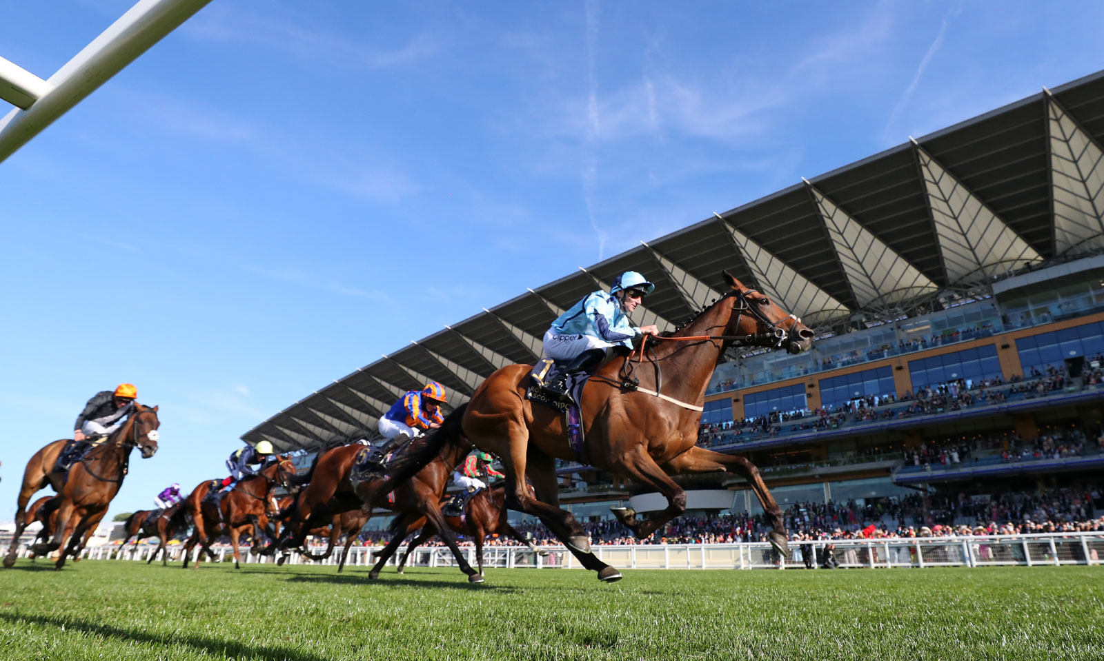 A Visit to the Royal Enclosure at Ascot – Equestrian Living