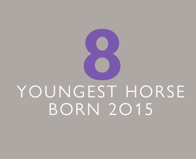 WEF 2023 By The Numbers – Equestrian Living