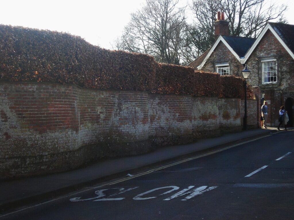 Exploring the Fascinating World of Wavy Walls - Equestrian Living