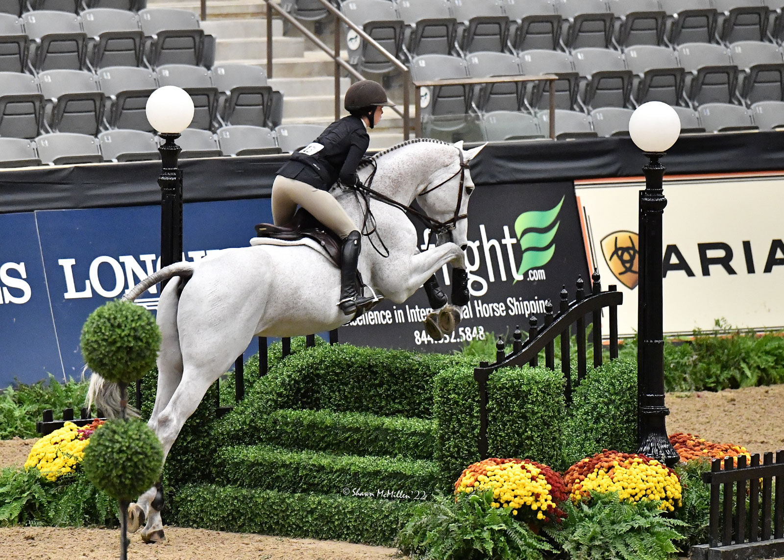 SCAD MACLAY JUMP DESIGNS - Equestrian Living