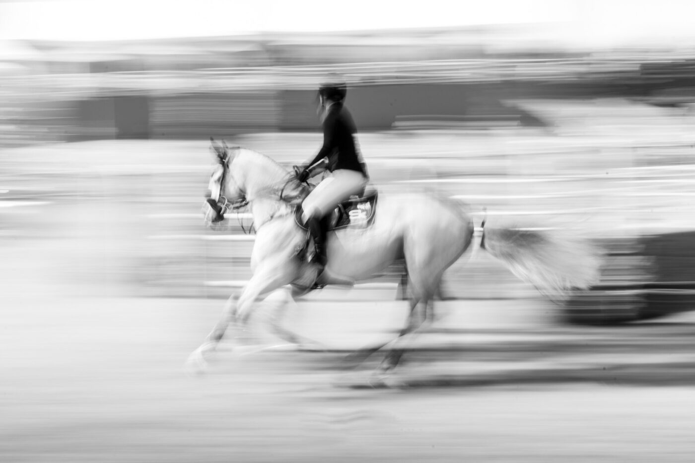 Shelby Phillips Photography - Equestrian Living