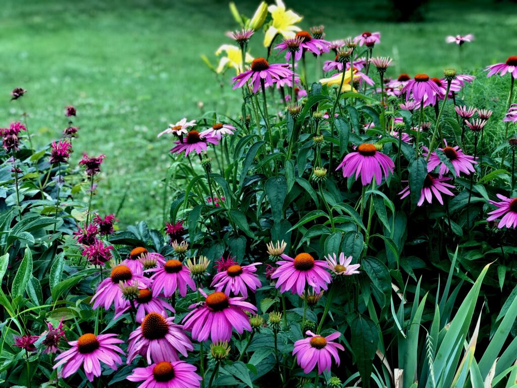 Creating a Beautiful and Safe Garden for your Home or Barn: Essential ...