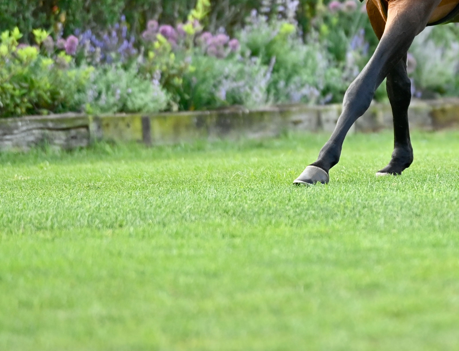 Classic Gardens: the Incredible Landscape Design of the Hampton Classic ...