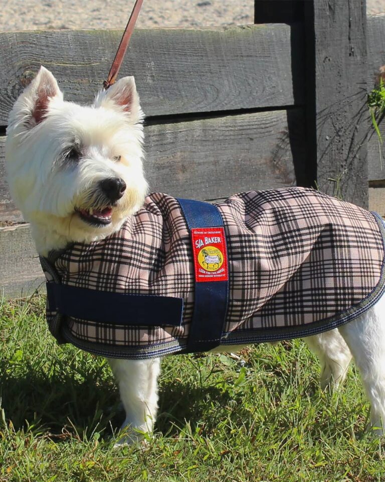 The Best Dog Jackets for the Barn – Equestrian Living