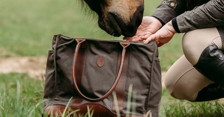 Tom Beckbe - Equestrian Living