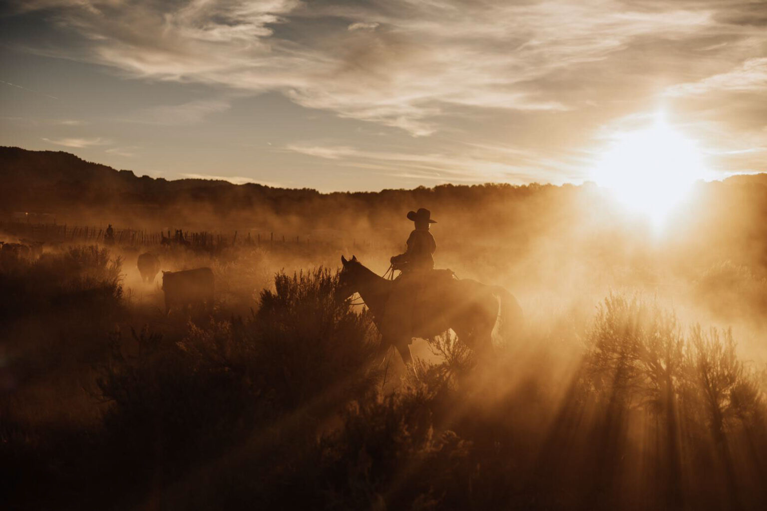 EXPLORING UTAH’S COWBOY HERITAGE: A CATTLE DRIVE ADVENTURE – Equestrian ...