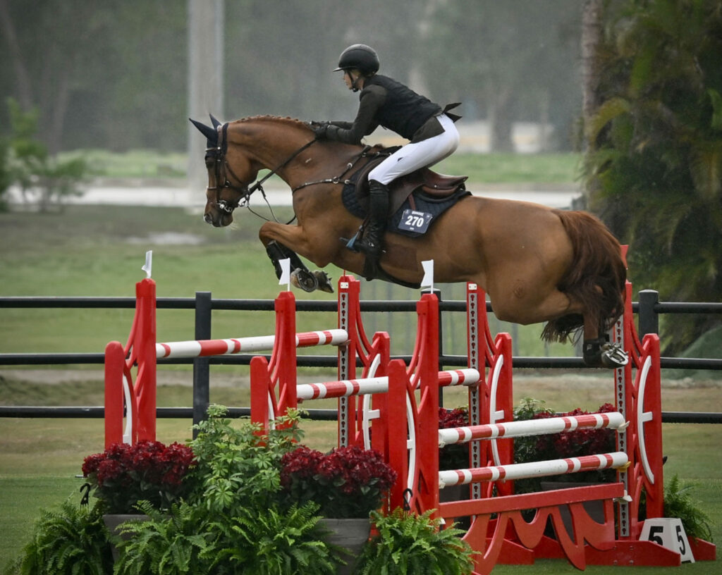 ELENA HAAS - Equestrian Living