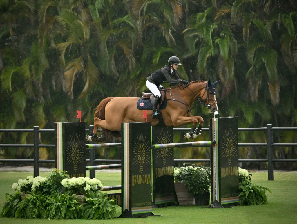 ELENA HAAS - Equestrian Living