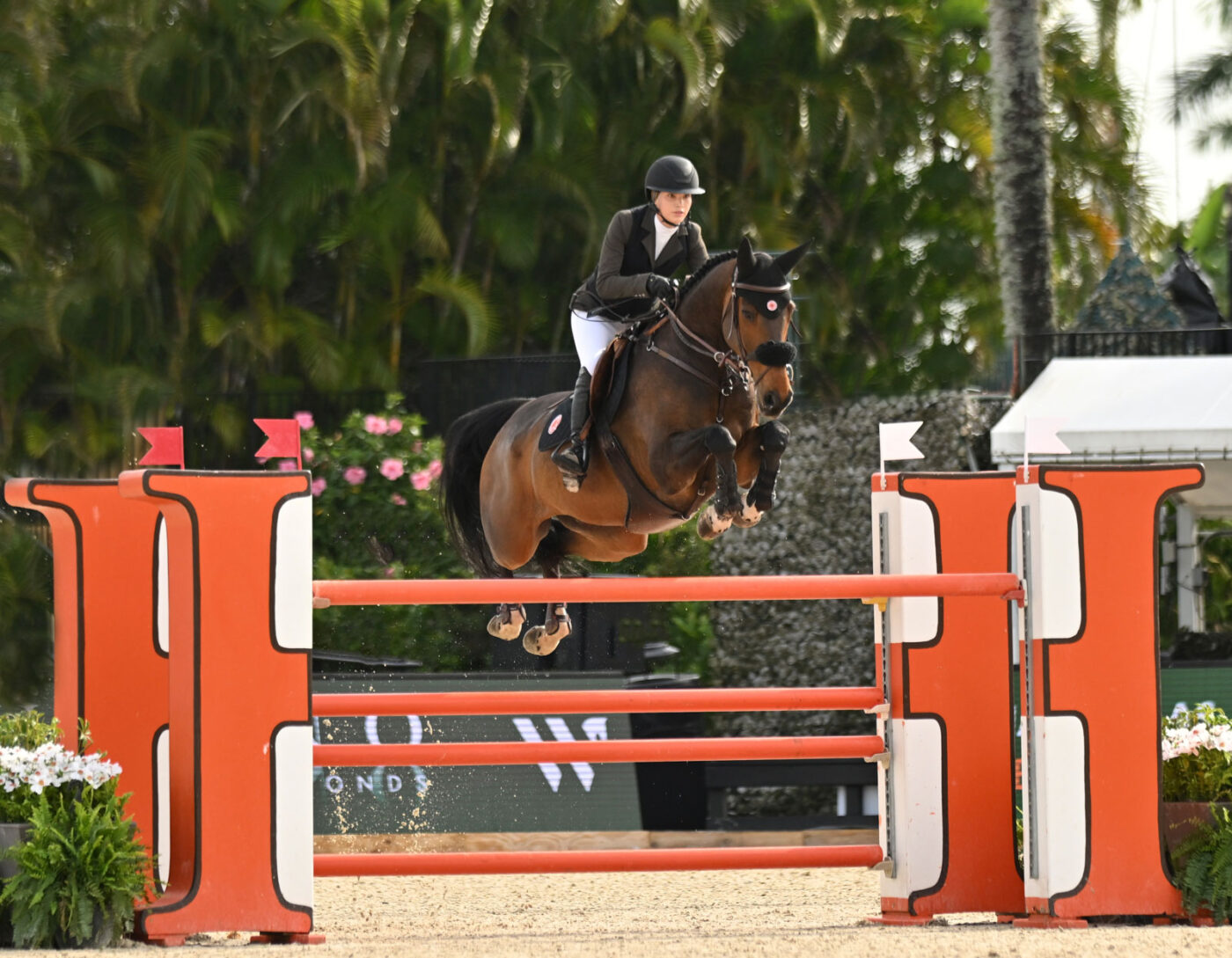 Equestrian Living (EQLiving) - The Premier Magazine of Country Life