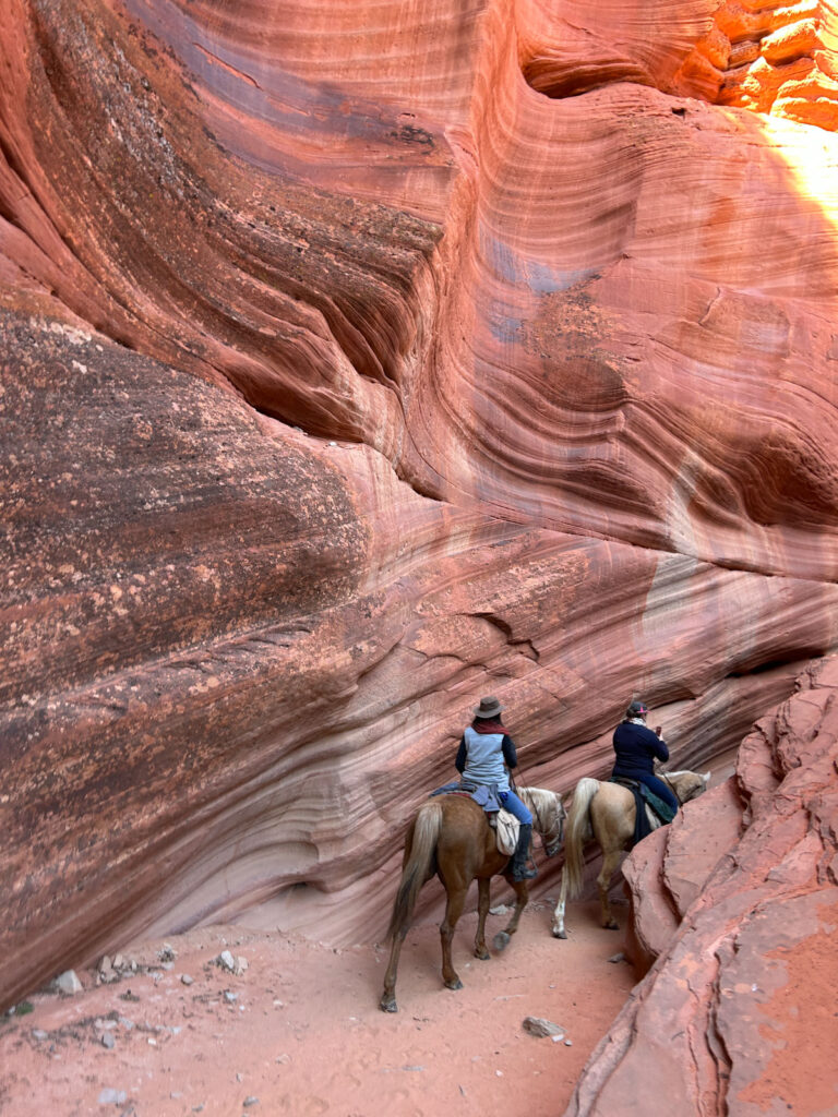 EXPLORING UTAH’S COWBOY HERITAGE: A CATTLE DRIVE ADVENTURE - Equestrian ...