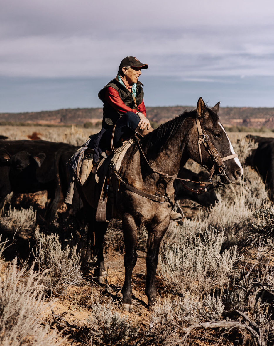 EXPLORING UTAH’S COWBOY HERITAGE: A CATTLE DRIVE ADVENTURE – Equestrian ...