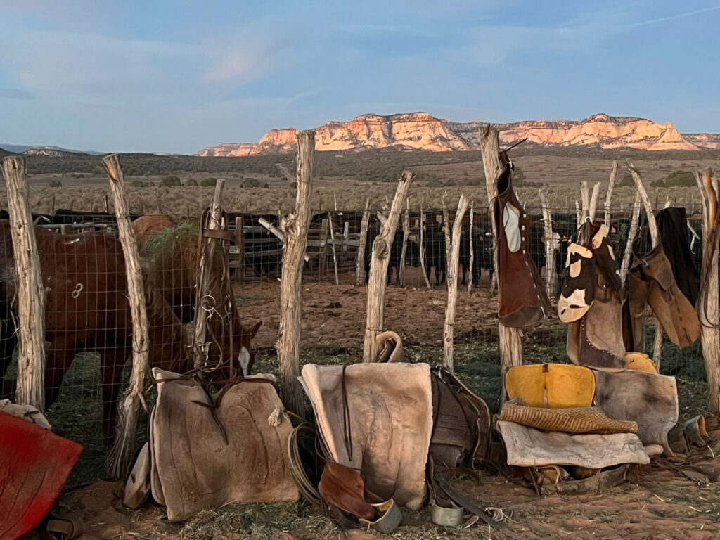 EXPLORING UTAH’S COWBOY HERITAGE: A CATTLE DRIVE ADVENTURE – Equestrian ...