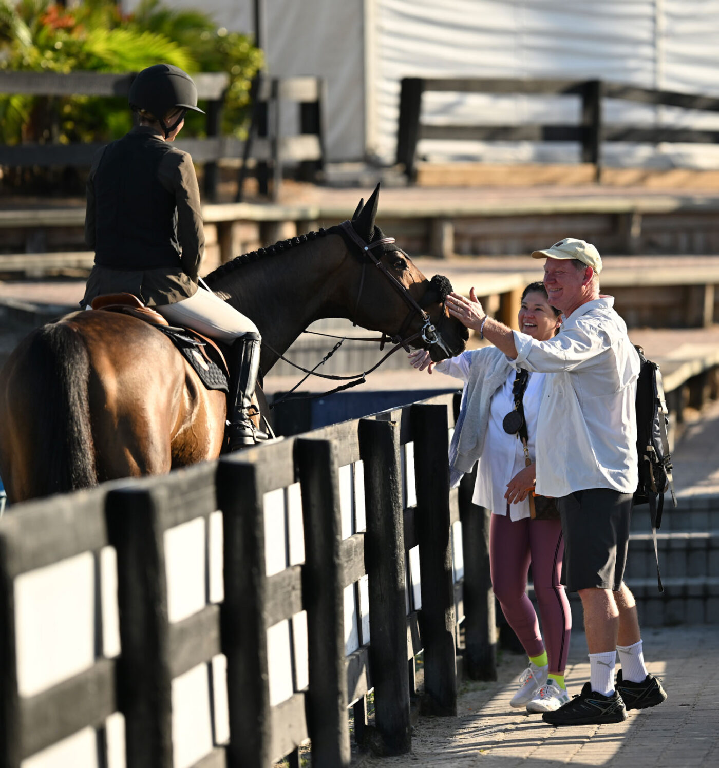 ELENA HAAS - Equestrian Living