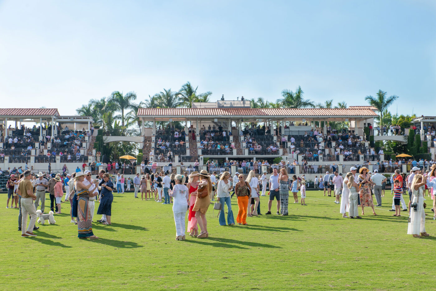 INTRODUCING THE POLO CLUB AT THE NATIONAL POLO CENTER – Equestrian Living